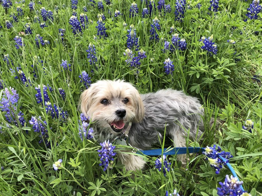 I was cheering one day, then dropped into deep shame the next. - Ian ...